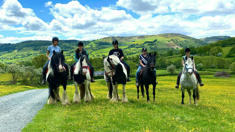 Rhayader - The outdoors Capital of Wales | Things to do